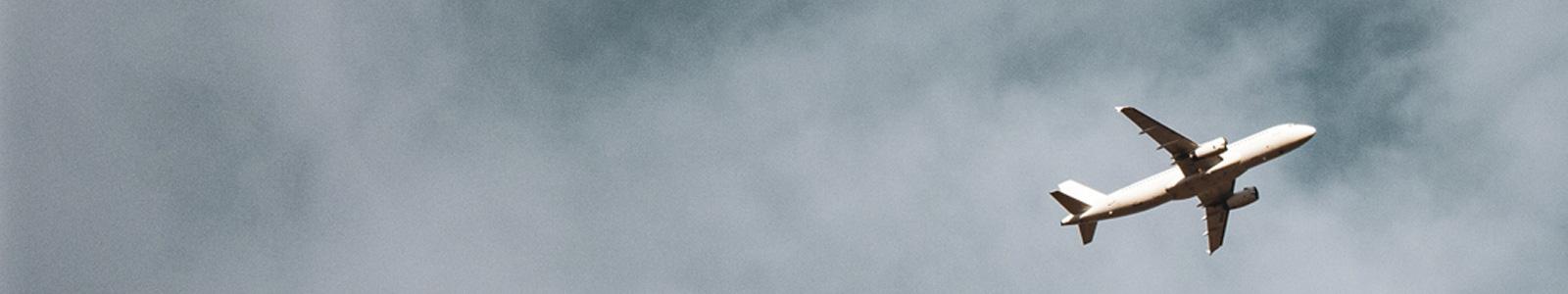 Visitor Visa (Subclass 600)